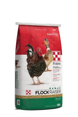 Purina Flock Raiser Pelleted Poultry Feed, 50 lb. Bag at Tractor Supply Co.