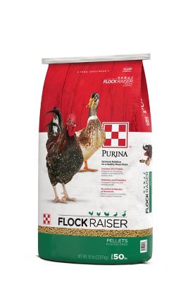 Purina Flock Raiser Pelleted Poultry Feed, 50 lb. Bag at Tractor Supply Co.