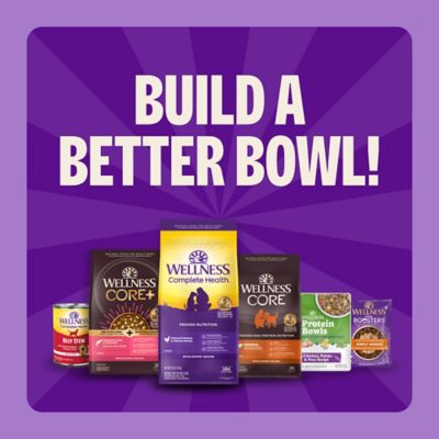 Wellness Complete Health Adult Chicken and Oatmeal Recipe Natural Dry ...