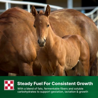 Purina Ultium Growth Formula Horse Feed, 50 lb. Bag at Tractor Supply Co.