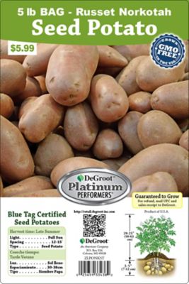 Vegetable Seeds at Tractor Supply Co.