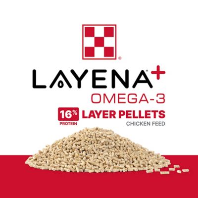 Purina Layena and Omega-3 Layer Pelleted Chicken Feed, 40 lb. Bag at ...