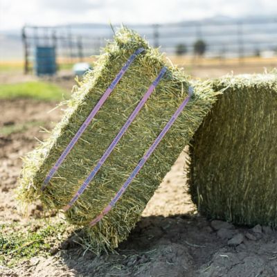 Standlee Premium Western Forage Premium Alfalfa/Orchard Grab and Go ...