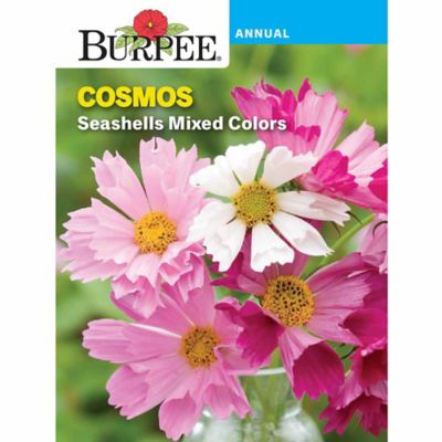 Burpee Cosmos Seashells Mix at Tractor Supply Co