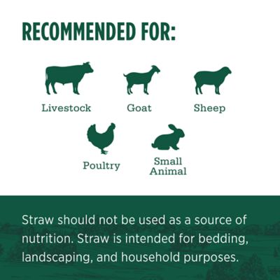 Standlee Premium Products Certified Straw Grab and Go Compressed Bale ...