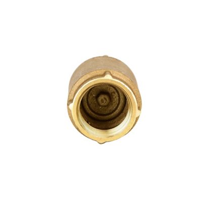 Water Source Brass Check Valve, 1 in., CV100NL at Tractor Supply Co.