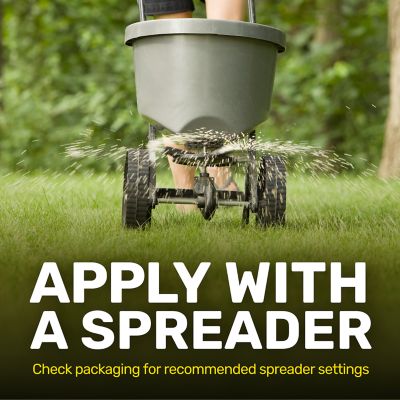 GroundWork 50 lb. 15,000 sq. ft. 18-24-6 Starter Fertilizer at Tractor ...