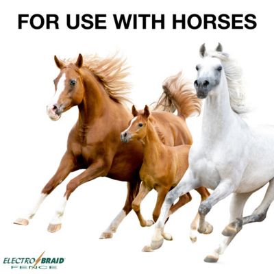 ElectroBraid 1,000 ft. x 784 lb. Horse Electric Fence Conductor Reel, 1 ...