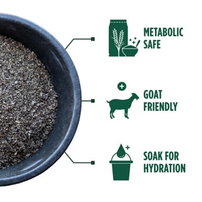 Standlee Premium Products Smart Beet Shreds Beet Pulp Horse Feed, 25 lb ...