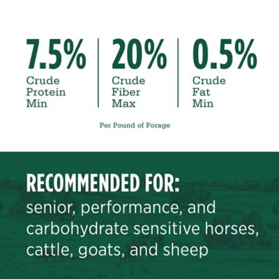 Standlee Premium Products Smart Beet Shreds Beet Pulp Horse Feed, 25 lb ...