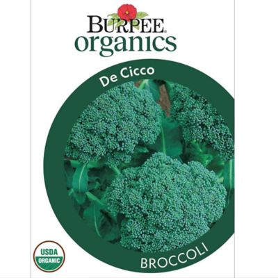 Burpee Org-broccoli Dicicco at Tractor Supply Co