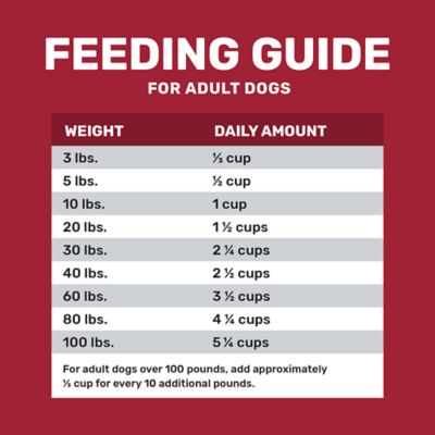 4health Grain Free Adult Beef and Potato Formula Dry Dog Food