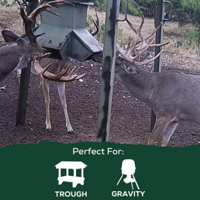 Record Rack 20 Deer Feed, 50 lb. Bag at Tractor Supply Co.