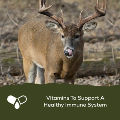 Record Rack Golden Deer Nuggets, 40 lb. Bag at Tractor Supply Co.