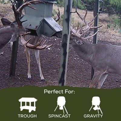 Record Rack Golden Deer Nuggets, 40 lb. Bag at Tractor Supply Co.