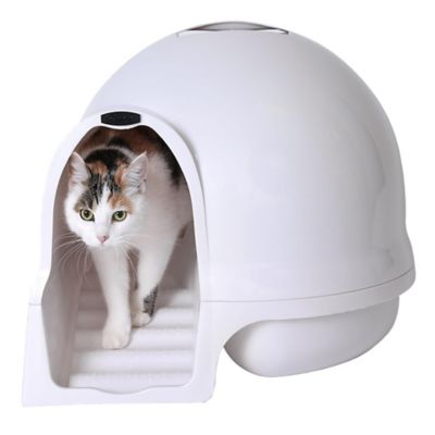Petmate Booda Clean Step Cat Litter Dome at Tractor Supply Co.