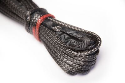 Champion Power Equipment 38 ft. Dyneema Synthetic Winch Rope for 4,000 ...