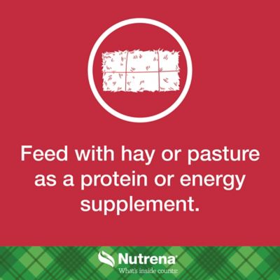 Nutrena NutreBeef Cattle Cube Supplement, 50 lb. at Tractor Supply Co.