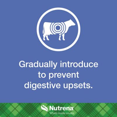 Nutrena NutreBeef 14% Starter Creep Pelleted Cattle Feed, 50 lb. Bag at ...