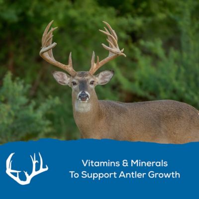 Record Rack 30 lb. 14% Protein Deer Block at Tractor Supply Co.