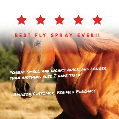 Manna Pro Pro-Force Fly Spray Insecticide, 32 oz. at Tractor Supply Co.