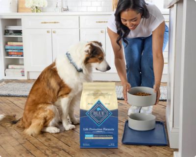 Blue Buffalo Family Favorite Recipes Adult Shepherd's Pie Wet Dog Food ...