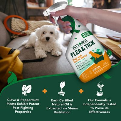 Vet's Best Natural Flea and Tick Home Spray, 32 oz. at Tractor Supply Co.