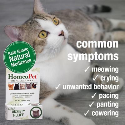 HomeoPet Anxiety Relief Cat 15ml at Tractor Supply Co.