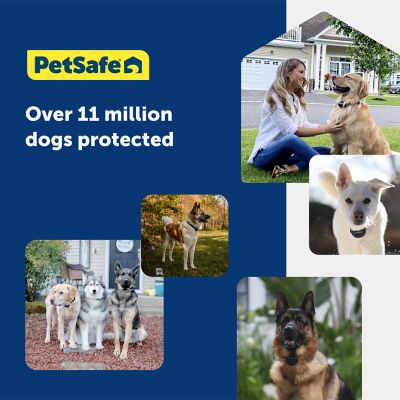 PetSafe YardMax Rechargeable In-Ground Fence Dog Collar