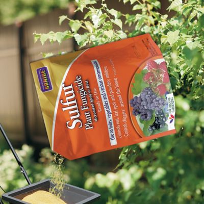 Bonide 4 lb. Ready-to-Use Sulfur Plant Fungicide Micronized Spray or ...