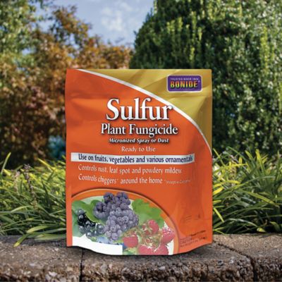 Bonide 4 lb. Ready-to-Use Sulfur Plant Fungicide Micronized Spray or ...