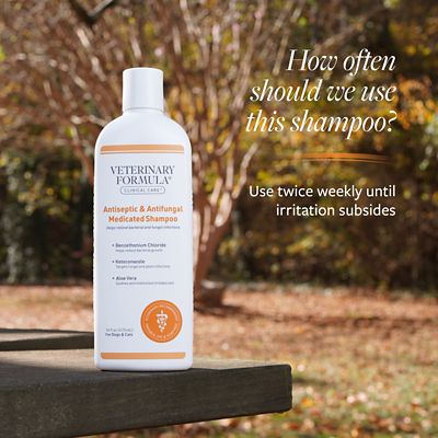 Veterinary Formula Antiseptic and Antifungal Medicated Shampoo for Dogs ...