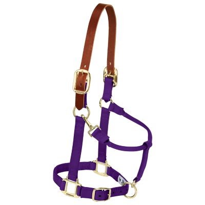 Weaver Equine Original Breakaway Horse Halter with Adjustable Chin and ...