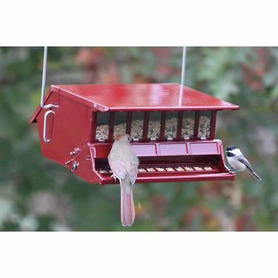 Woodlink 9 lb. Reflective Bird's Choice Squirrel-Resistant Bird Feeder ...