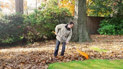 True Temper 26 in. Poly Dual Tine Leaf Rake at Tractor Supply Co