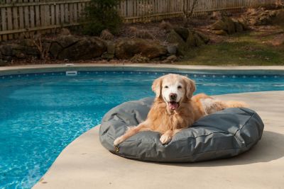 Snoozer Waterproof Round Pillow Dog Bed at Tractor Supply Co