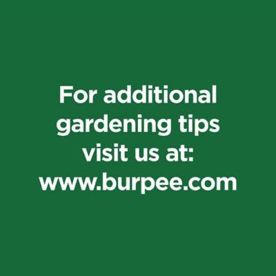Burpee 1.5 cu. ft. Natural and Organic Premium Potting Mix at Tractor ...