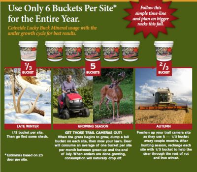 Lucky Buck 2 gal. Apple Flavor Deer Mineral Supplement, Year-Round at ...