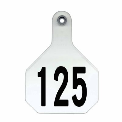 Y-TEX All American Blank ID 4-Star Cattle Tags, 2 pc., Large, Yellow ...