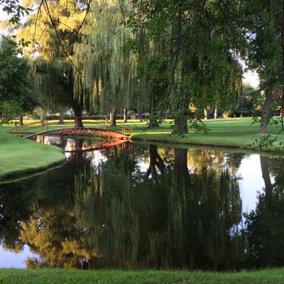 Bioverse Healthy Ponds Black Pond Dye, 5 oz. at Tractor Supply Co.