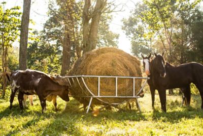 Tarter 1 Round bale Galvanized Cradle Hay Bale Feeder at Tractor Supply Co.