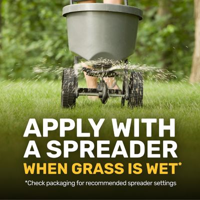 GroundWork 32 lb. 10,000 sq. ft. Southern Weed and Feed Lawn Fertilizer ...