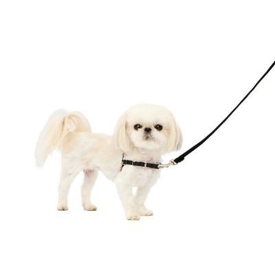 PetSafe Easy Walk No-Pull Dog Harness