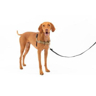 PetSafe Easy Walk No-Pull Dog Harness