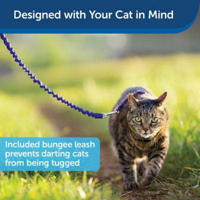 PetSafe Come With Me Kitty Adjustable Cat Harness and Bungee Leash, 3/8 ...