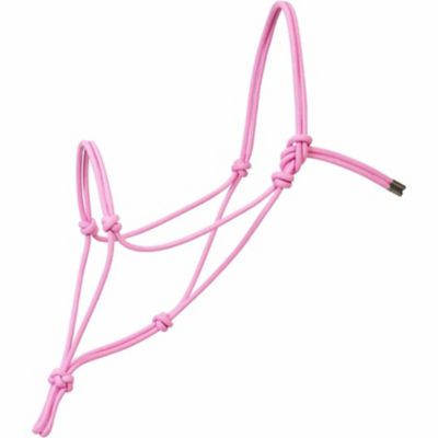 Silvertip 4-Knot Rope Horse Halter at Tractor Supply Co.