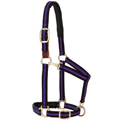 Weaver Equine Striped Horse Halter with Padded Breakaway Adjustable ...
