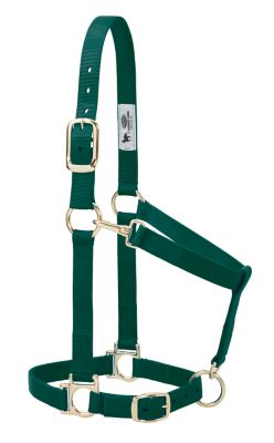 Weaver Equine Basic Halter with Adjustable Chin and Throat Snap, 1 in ...