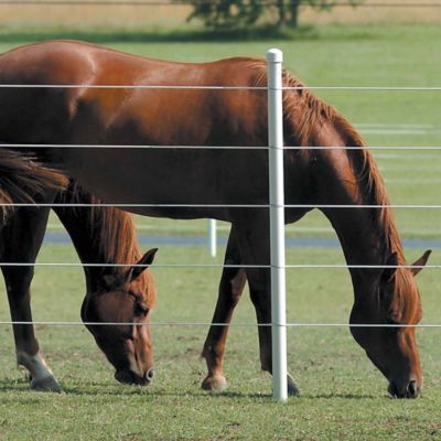 PolyPlus 1,320 ft. Coated Non-Electric High-Tensile Wire Fence Roll ...