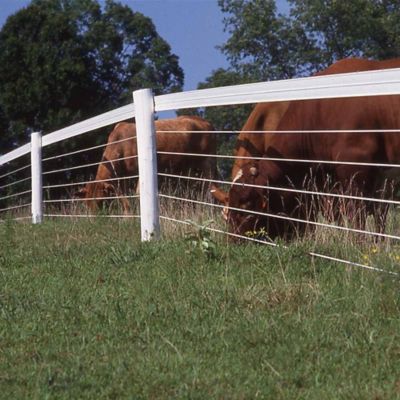 PolyPlus 1,320 ft. Coated Non-Electric High-Tensile Wire Fence Roll ...